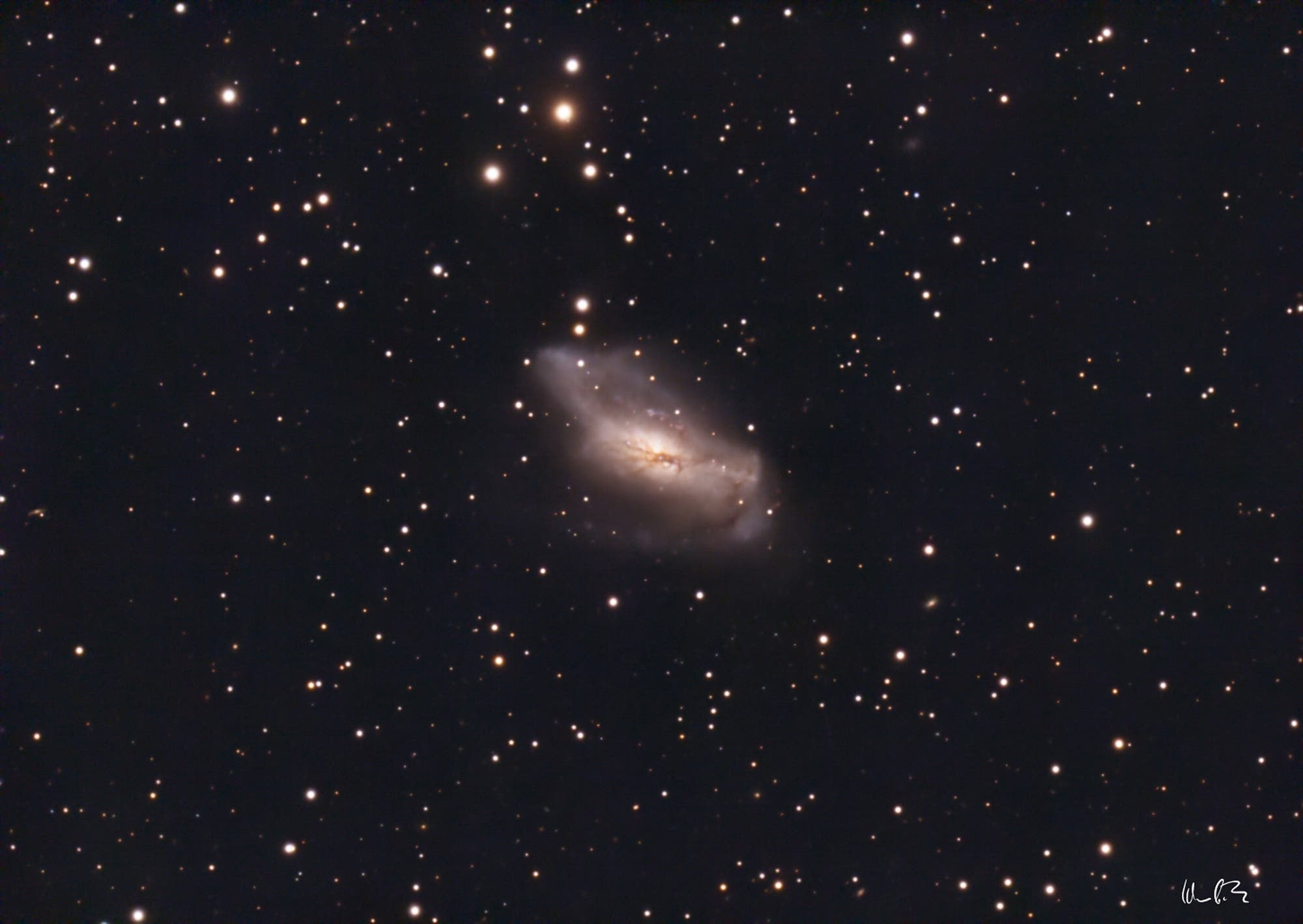 NGC 2146 - Spektrum der Wissenschaft